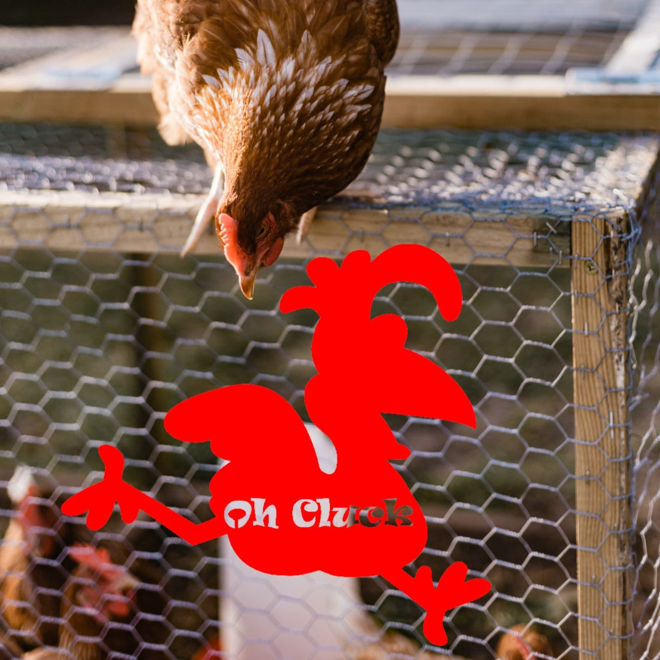 Twisted Signs – Tinkerin Metal Art